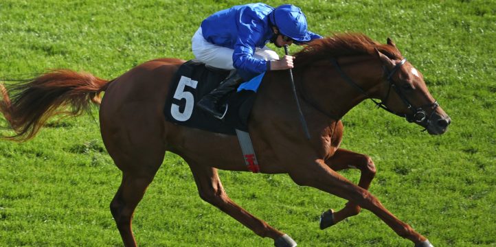 Yibir makes all for conditions glory at Newbury | Racing365