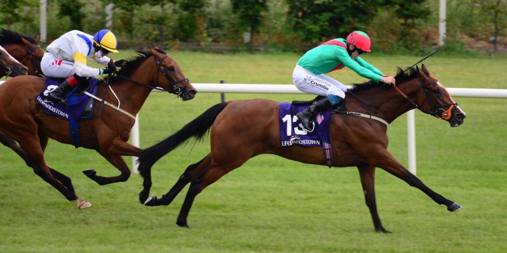 Moll thriving for Munster Oaks | Racing365