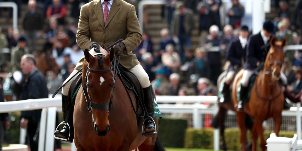 Rapid growth in demand for Retraining of Racehorses | Racing365