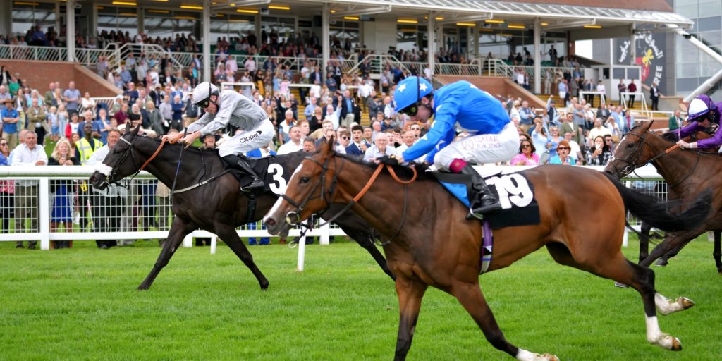 Tardis out of this world for Bell at Newbury | Racing365