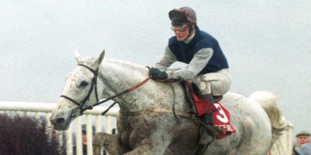 ‘He was a perfectionist’ – Dunwoody tribute to retiring David Elsworth ...