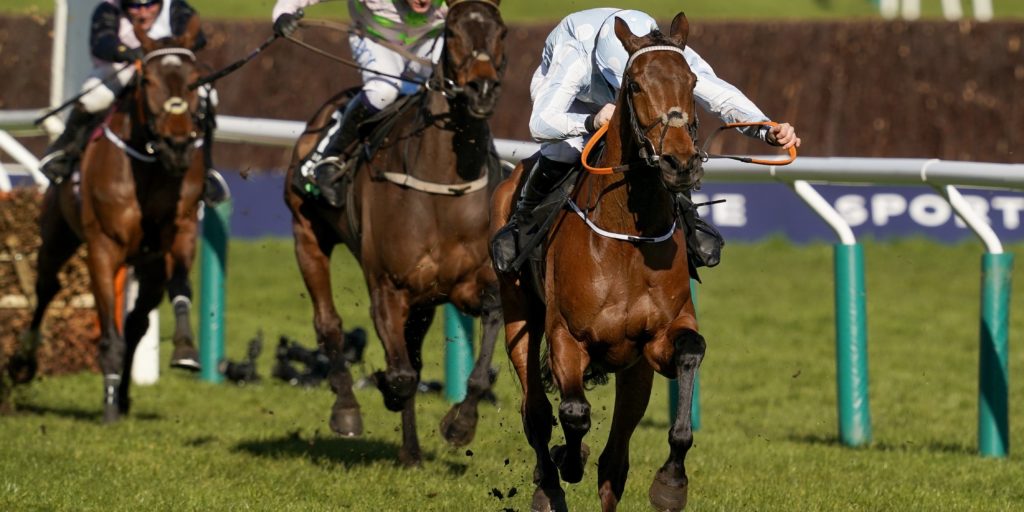 Honeysuckle heads 10 chasing Champion Hurdle honours | Racing365