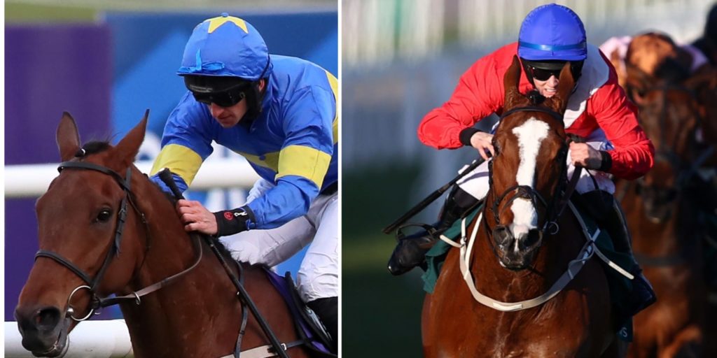 Sir Gerhard and Dysart Dynamo remain in Supreme reckoning | Racing365