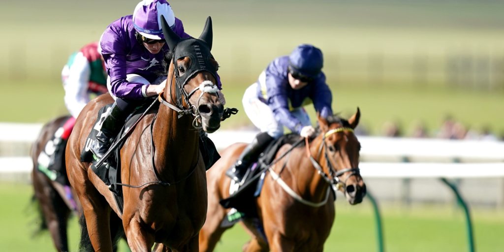 Jumbly bringing strong claims to Fred Darling table | Racing365