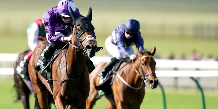 Jumbly bringing strong claims to Fred Darling table | Racing365