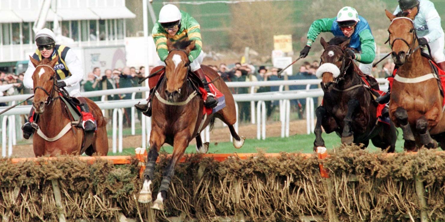 Istabraq soaks up the attention at 30th birthday celebrations | Racing365