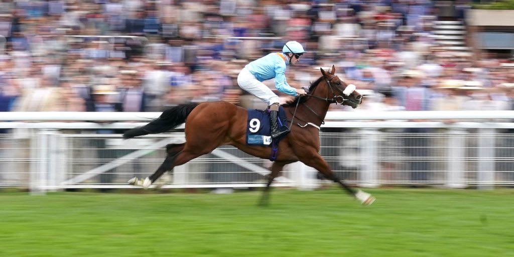 The Platinum Queen does Middleham Park team proud | Racing365