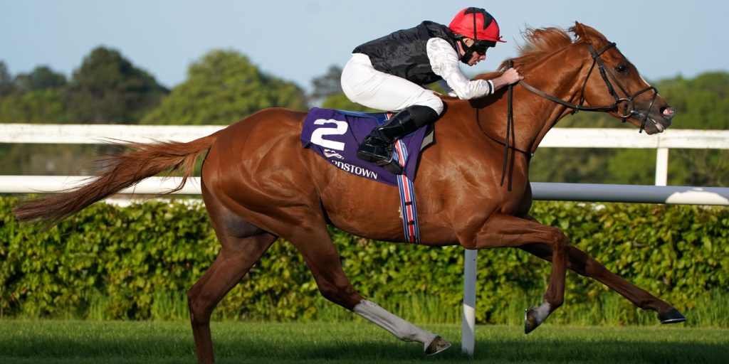 Kyprios makes class count in Irish St Leger | Racing365