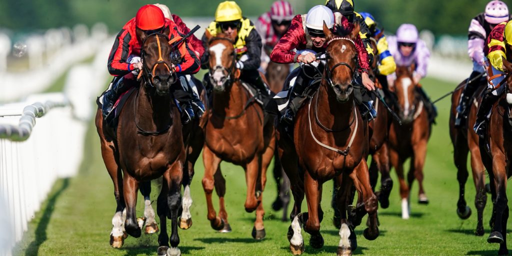 Johnson Houghton thrilled with Rage Of Bamby | Racing365