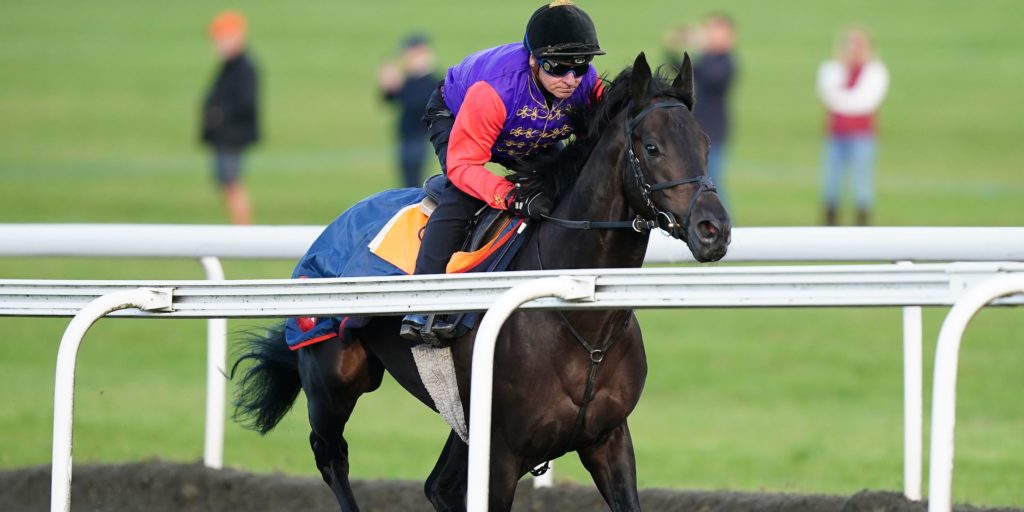 Educator to be landmark first runner for the King | Racing365