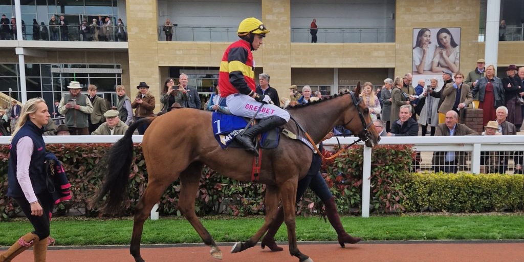 Harris sets out Elite aim for Knight Salute | Racing365