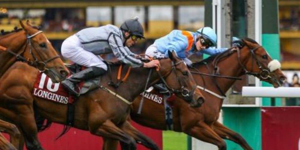 The Platinum Queen team look to the future | Racing365