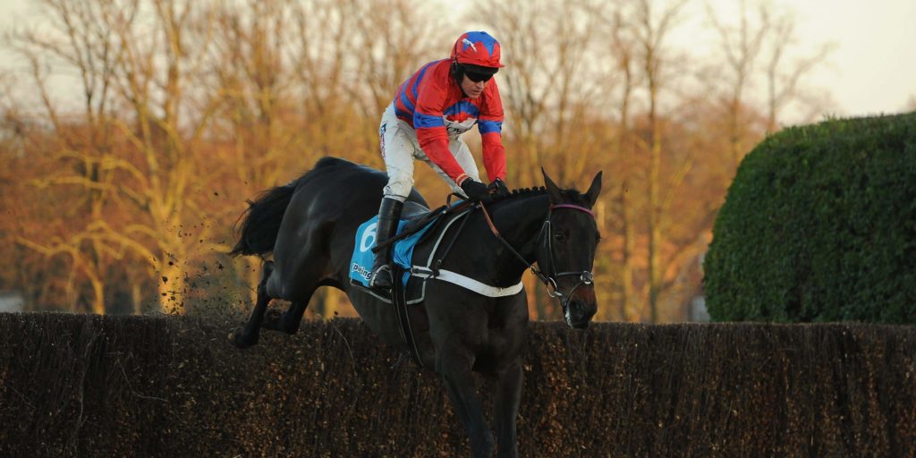Sprinter Sacre set for starring role on Tingle Creek day | Racing365