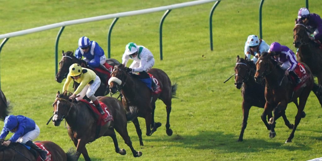 Harris taking Knight Salute route with potentially smart Scriptwriter ...