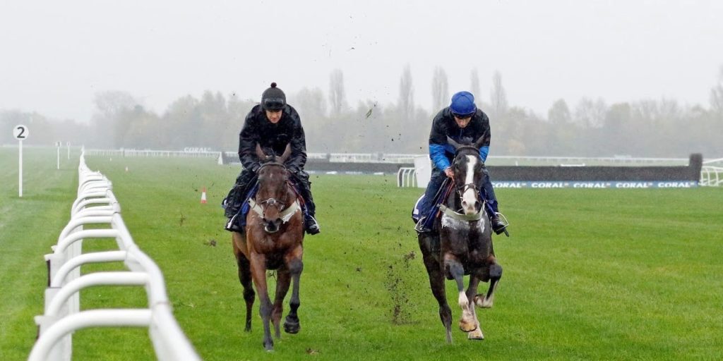 Tizzard believes Coral Gold Cup-bound Fiddlerontheroof ‘has a big one ...